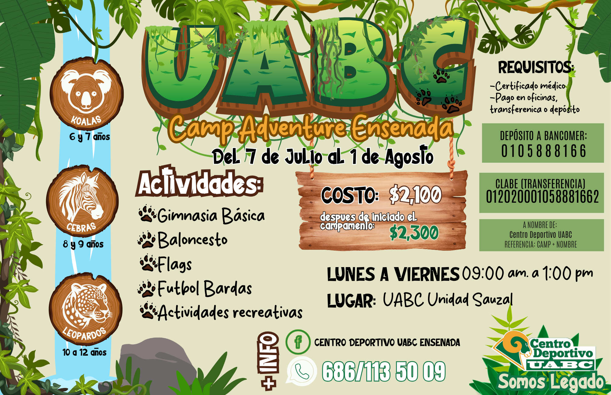 UABC CAMP Adventure Ensenada | QueHacer Cimarrón UABC